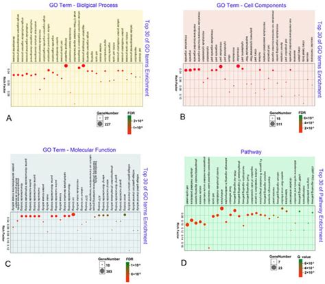 Microorganisms Special Issue Ciliates As Model Organisms From