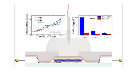 Wse2 Negative Capacitance Field Effect Transistor For Biosensing Applications Acs Applied