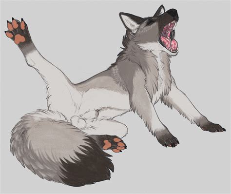 Rule 34 Animal Genitalia Balls Black Nose Bodily Fluids Canid Canine