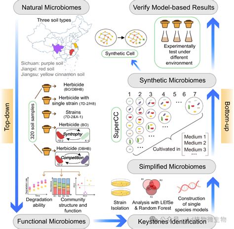 Nature Communications 南京农业大学徐希辉等团队提出自然微生物群落改造方法 知乎