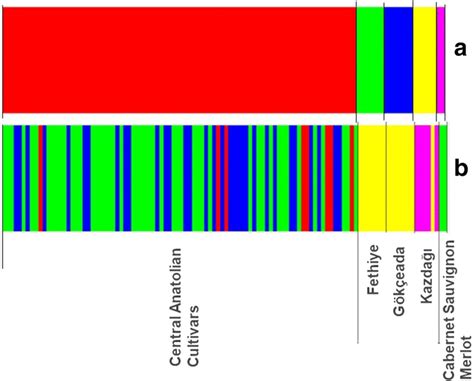 Bayesian Analysis Of Population Structure Baps Of Central Anatolian Download Scientific