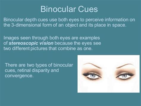 Depth Cues