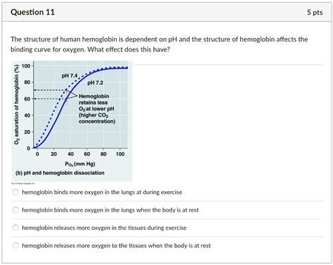 Solved Question 11 5 Pts The Structure Of Human Hemoglobin Is Dependent On Ph And The Structure