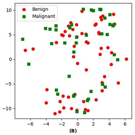 The Roi Images Visualization Using T Sne A Visualization For Three