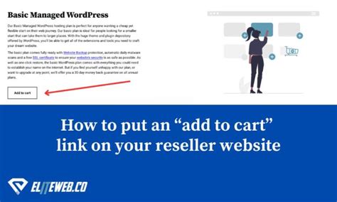 How To Add Custom Add To Cart Links To Your Reseller Website