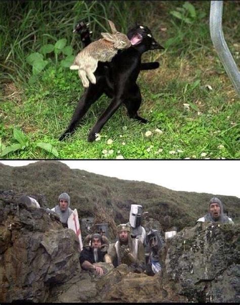 Image 529326 Monty Python Know Your Meme