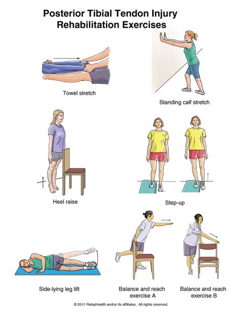Posterior Tibial Tendon Exercises Rehabilitation Exercises Physical Therapy Exercises