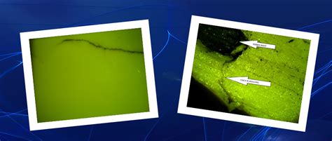 Plastics Testing Laboratory Polymer Analysis Rubber Testing Polymer Testing Australia