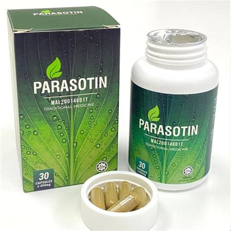 Ekiwi Global Sdn Bhd Linktree