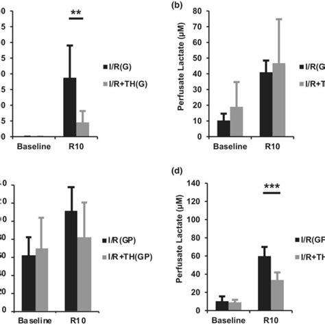 Schematic Of The Experimental Protocol For Each Hypothermia Download Scientific Diagram