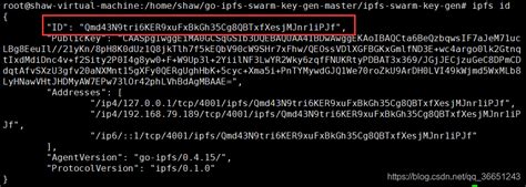 区块链开发笔记四：ipfs私有网络搭建ipfs报错failed To Configure Private Csdn博客