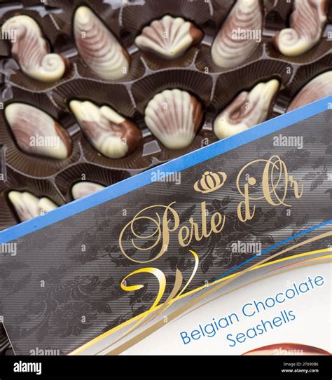Belgian chocolate seashells hi-res stock photography and images - Alamy