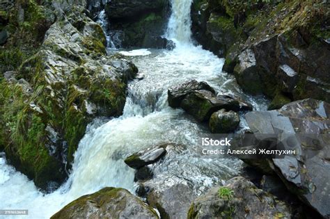 가을 아침 숲의 이끼로 뒤덮인 젖은 돌 위로 높은 산에서 빠른 폭포처럼 흐르는 산줄기의 물줄기 알타이 공화국에 대한 스톡 사진