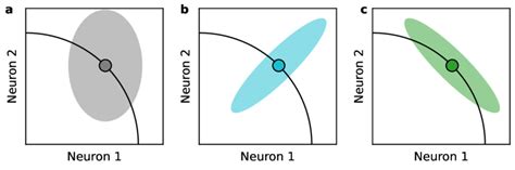 Geometric Contributions To Neural Correlated Variability Each Plot