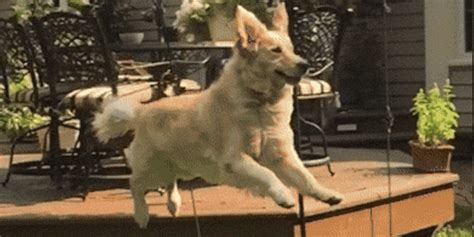 When My Try Catch Doesnt Work The Coding Love Programmer Humor Gifs Memes Jokes