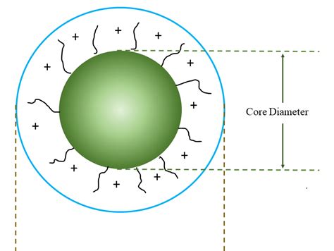 Hydrodynamic Diameter And Particle Size