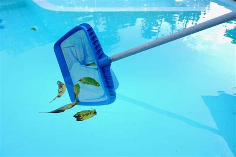 Get Pool Leaf Debris Removal Local Pros Pool Leaf Debris Removal Pros