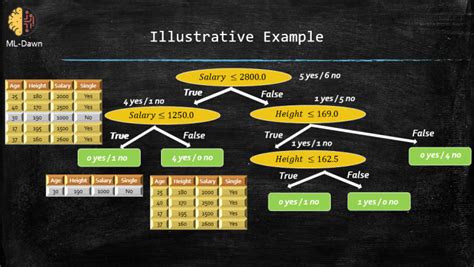 The Decision Tree Algorithm A Gentle Introduction ML DAWN