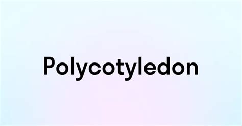 Polycotyledon — перевод транскрипция произношение и примеры