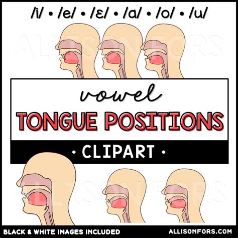 Vowel Tongue Positions Clip Art Allison Fors Inc