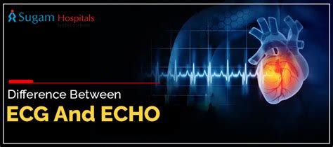 Difference Between ECG And ECHO