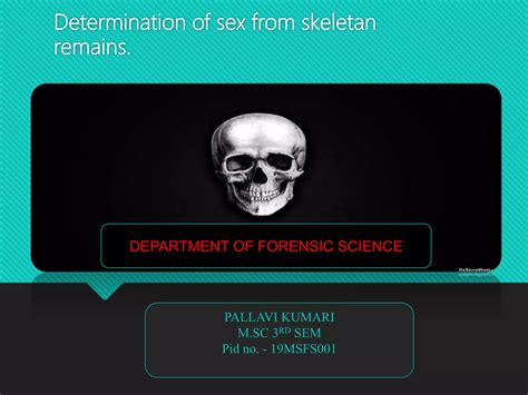 Determination Of Sex From Skeletal Remains Pptx