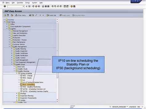 青蛙SAP分享 Froggy s SAP sharing SAP QM Stability Study Step 6 Execute Inspection during a
