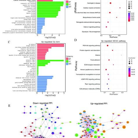 Functional Categorization And Signaling Pathways Enrichment Of Download Scientific Diagram