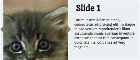 Popular JQuery Image Slider Plugins Iamrohit In