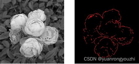 halcon边缘检测sobel、laplace和canny算子 halcon边缘检测算子 csdn博客