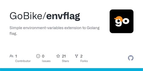 envflag simple environment variables extension to golang flag r golang