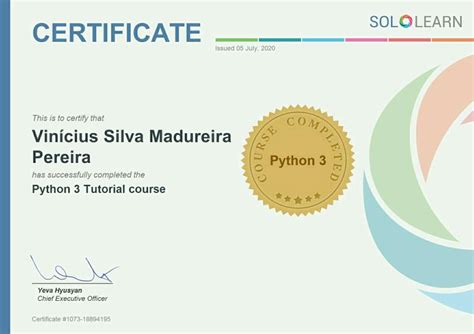 Vinicius Madureira On Linkedin Python3 Python Programming Achievement Certificate