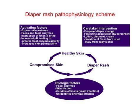 Diaper Rash Yeast Infection Cream Yeast Diaper Rash Symptoms Causes And Effective Treatments