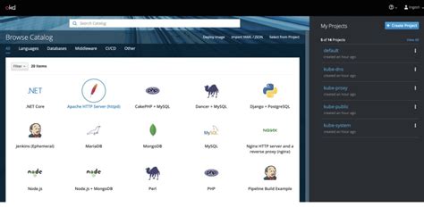 OKD How To Setup Red Hat Openshift In A Single Node UnixArena