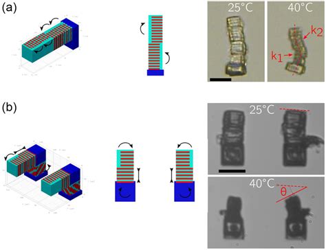 Complex Structures A Bidirectional Bending Beam Despite Printing