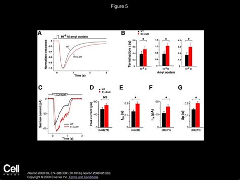 Volume Issue Pages May Ppt Download