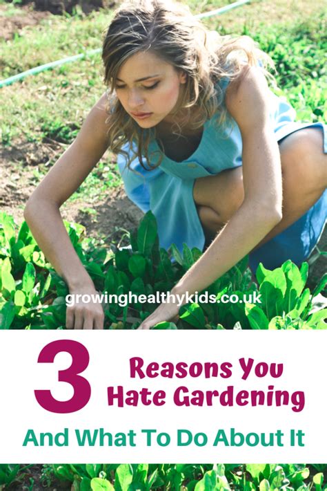 3 Common Gardening Problems