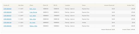 invoice report