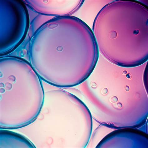 Mcq Instruments On Linkedin Boost Insect Cell Cultures Experimentation