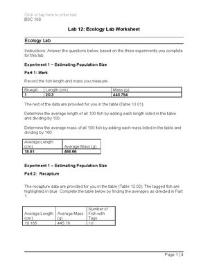 BSC Lab Lab Photosynthesis Lab And Journal Worksheet BSC Lab Photosynthesis