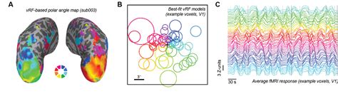 Modeling Visual Representations During Manipulations Of Covert And Overt Attention Institute