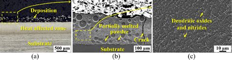 Partially Melted Particles In The Single Bead Sample A Optical Download Scientific Diagram