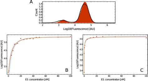 A Comparison Of The Stochastic Model Histogram With The Experiment