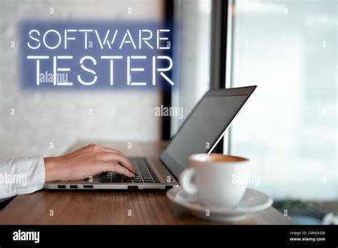 Text Sign Showing Software Tester Business Overview Implemented To
