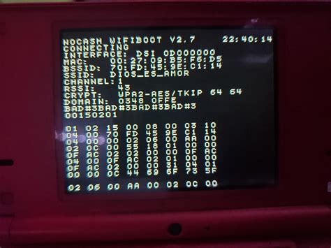 dsi won t boot the hack shows this screen r ndshacks