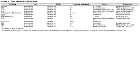 Abnormal Glomerular Basement Membrane Laminins In Murine Ca