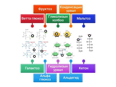 Нүүрс усны нэршил бататгал дасгал даалгавар Labelled Diagram