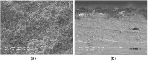Sem Microstructure Of Coating A Coating Surface And B Cross