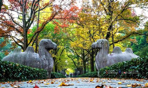 Xiaoling Tomb Of Ming Dynasty Free Photos On
