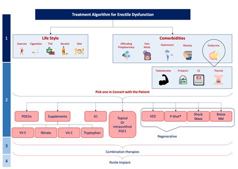 Updated Algorithm For The Treatment Of Ed Priapus Shot®